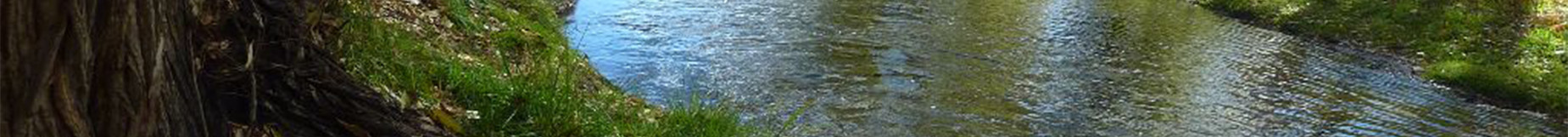 News & Resources - Groundwork USA