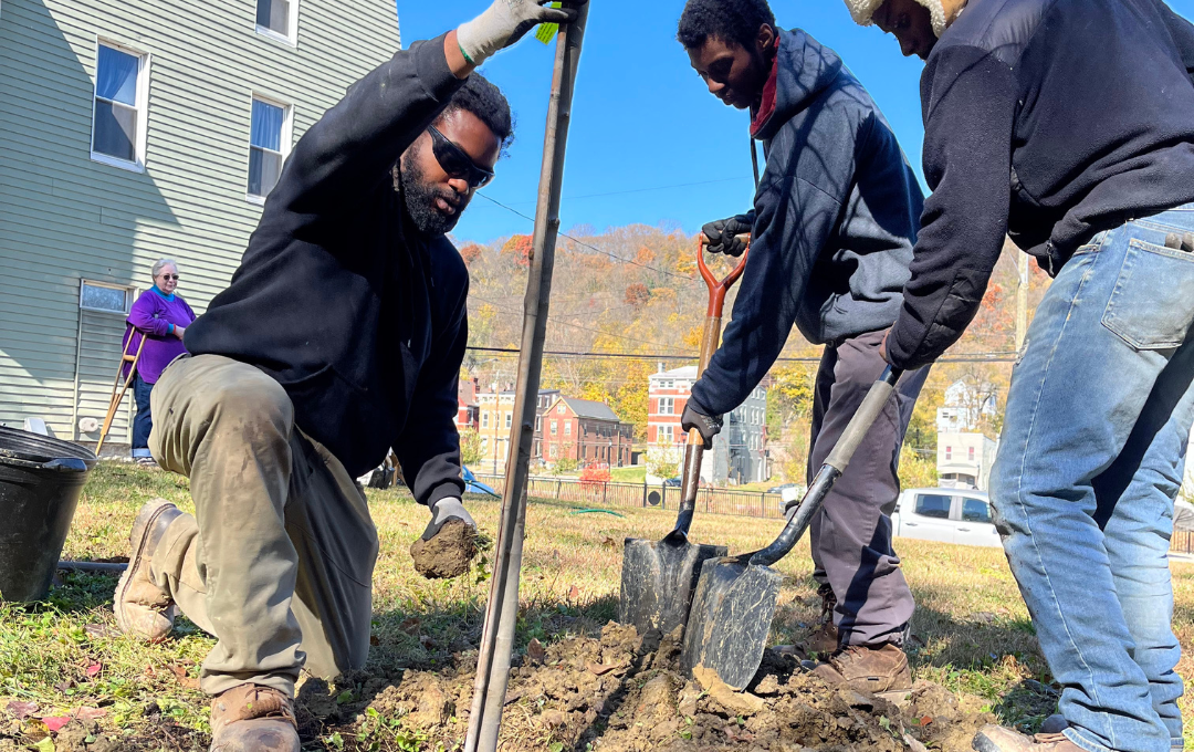 Urban Forestry and Tree Equity - Groundwork USA